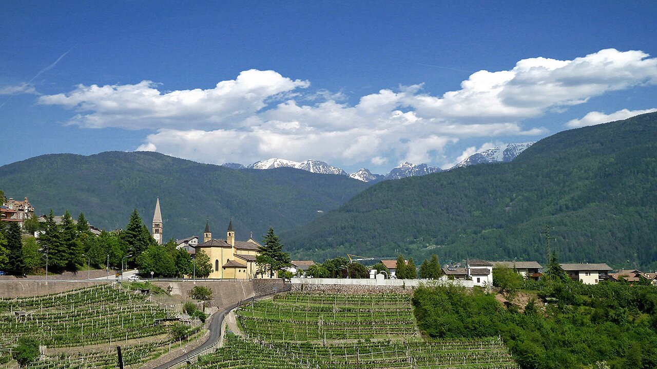 Trento Cembra Pino Distancia Tasty Itineraries In Val Di Cembra